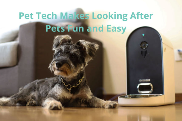 Pet Tech Makes Looking After Pets Fun And Easy