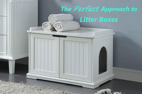 The Perfect Approach to Litter Boxes