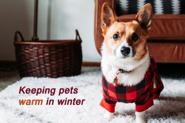 Tips on Keeping Pets Warmer in Winter & Colder Months
