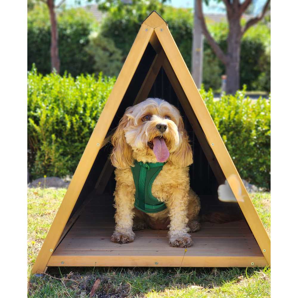 Modern Triangle Dog House - Modern Pets