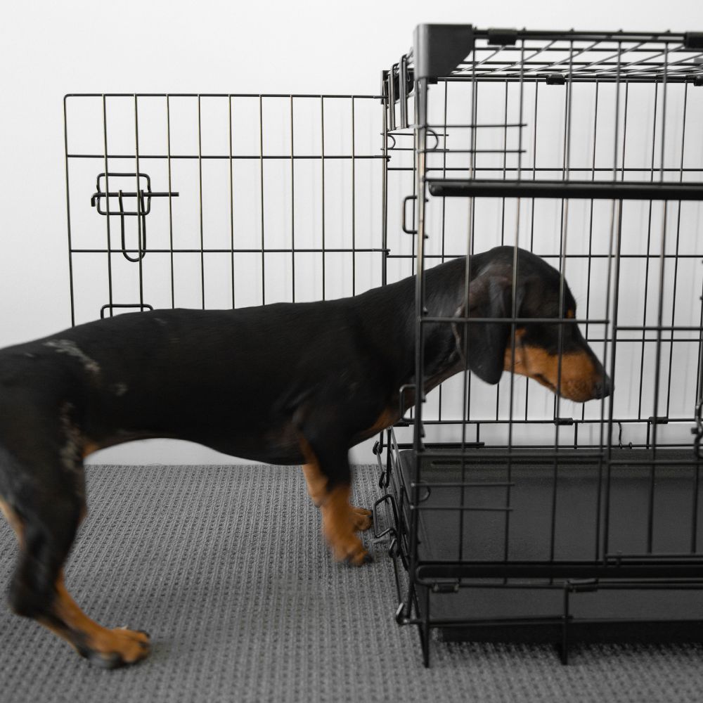 Collapsible Sliding Door Dog Crate | Foldable Black Steel Pet Cage