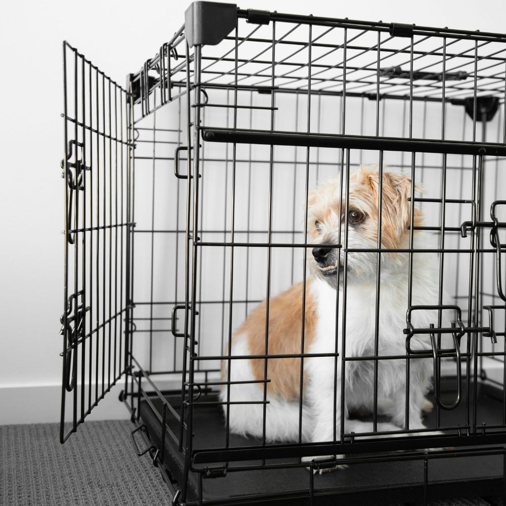 Collapsible Sliding Door Dog Crate | Foldable Black Steel Pet Cage
