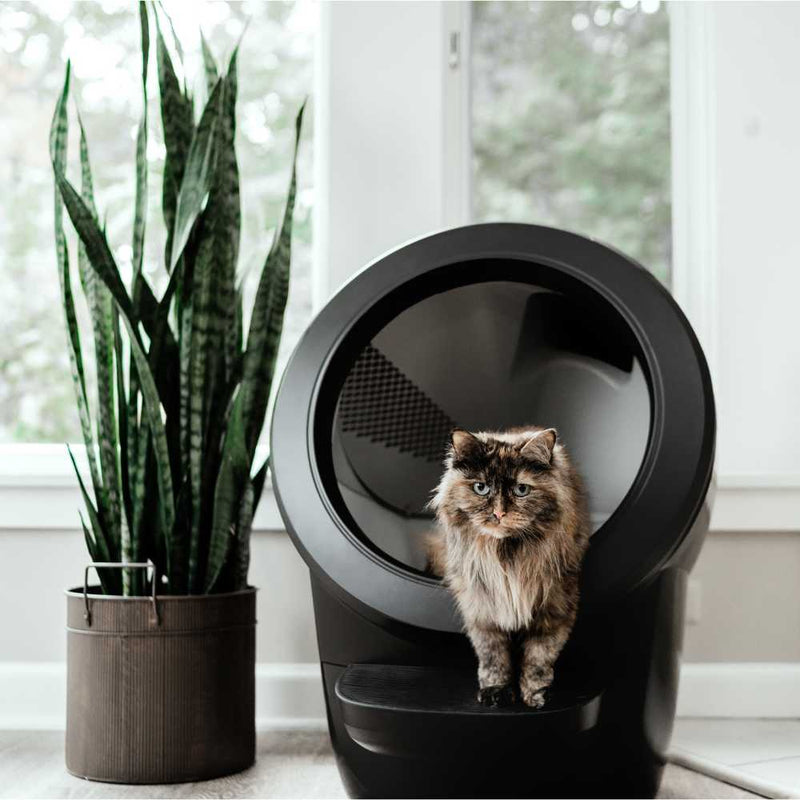 Automatic Litter-Robot 4, Self Cleaning Litter Box, Black
