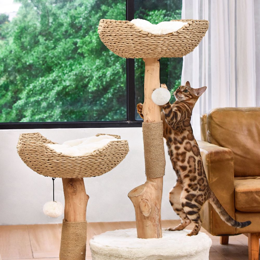 Michu Premium Real Wood Cat Tree | Large