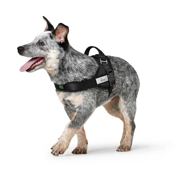 Hunter Norwegian Ranger Dog Harness