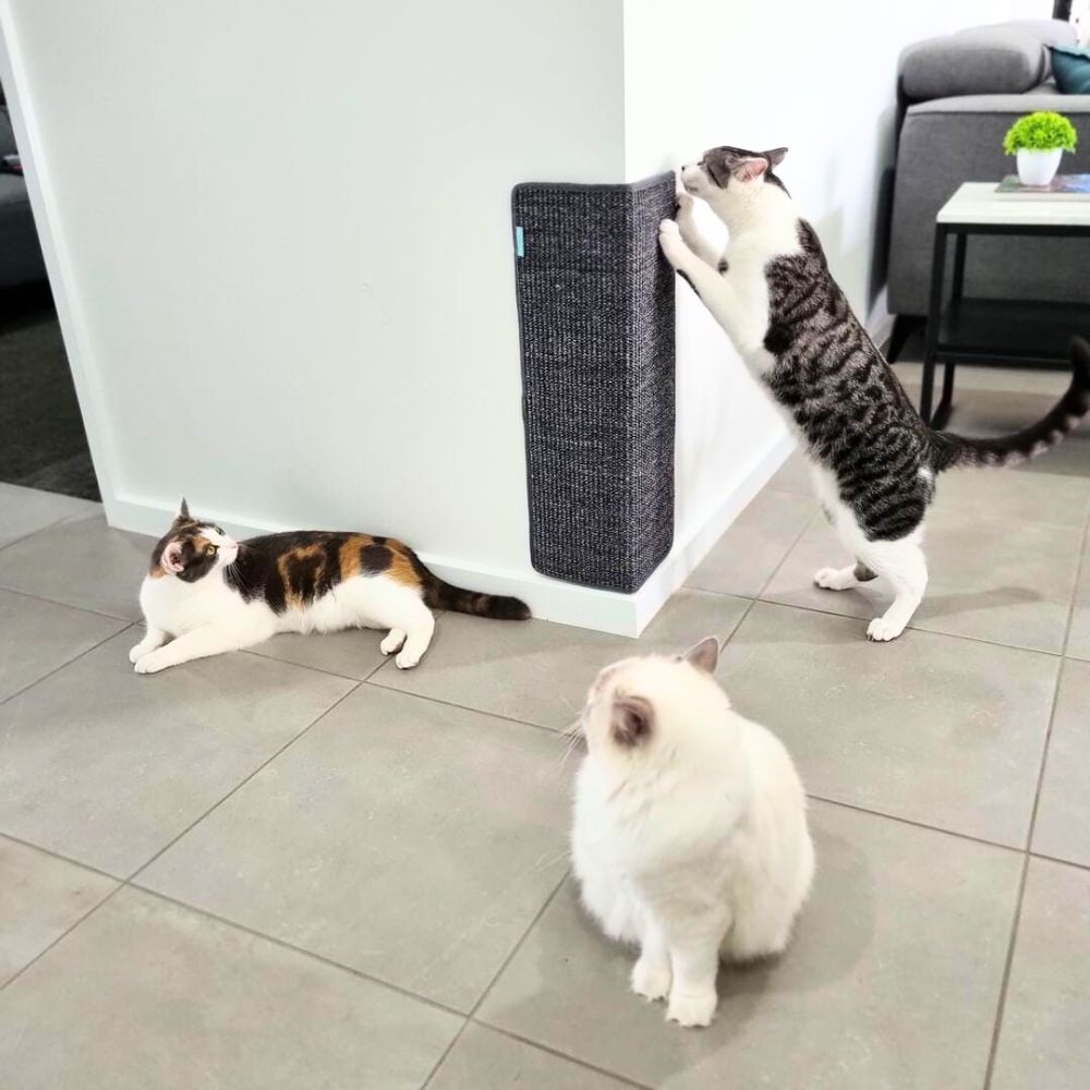 Sisal Corner Wall Scratcher | Encourages Your Cat to Scratch & Stretch
