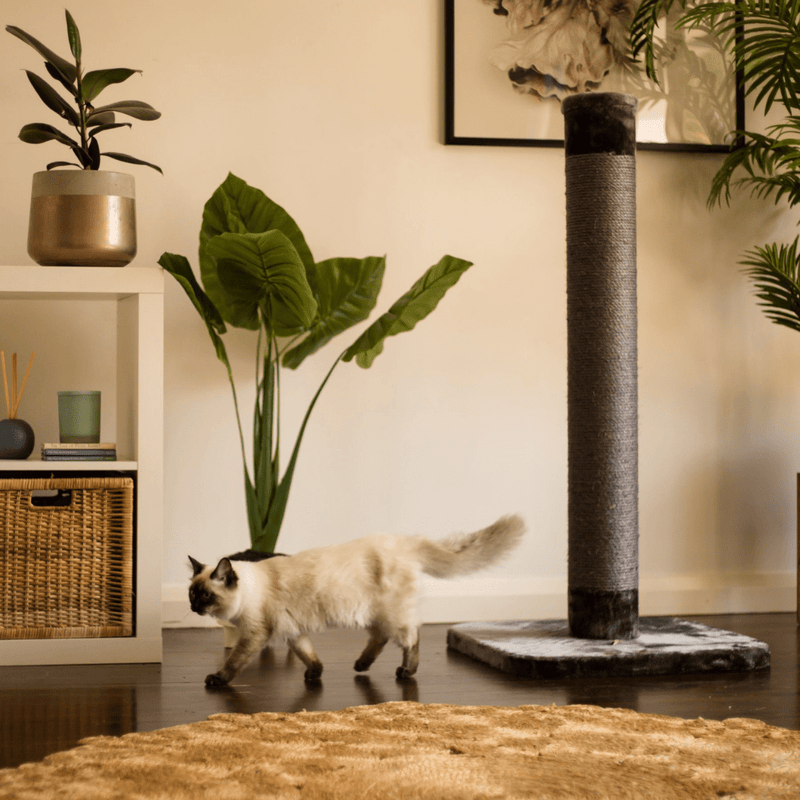 Kazoo Cat Scratching Post Charcoal