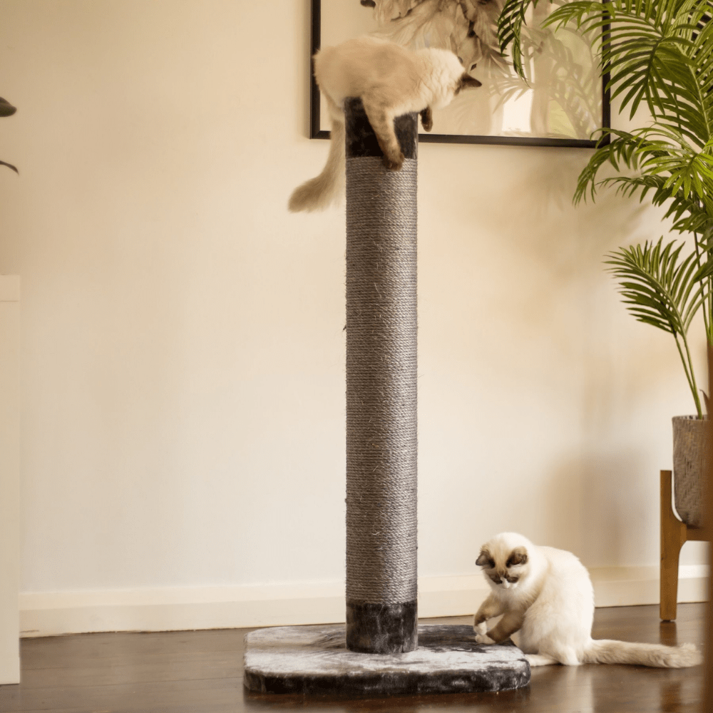 Kazoo Cat Scratching Post Charcoal