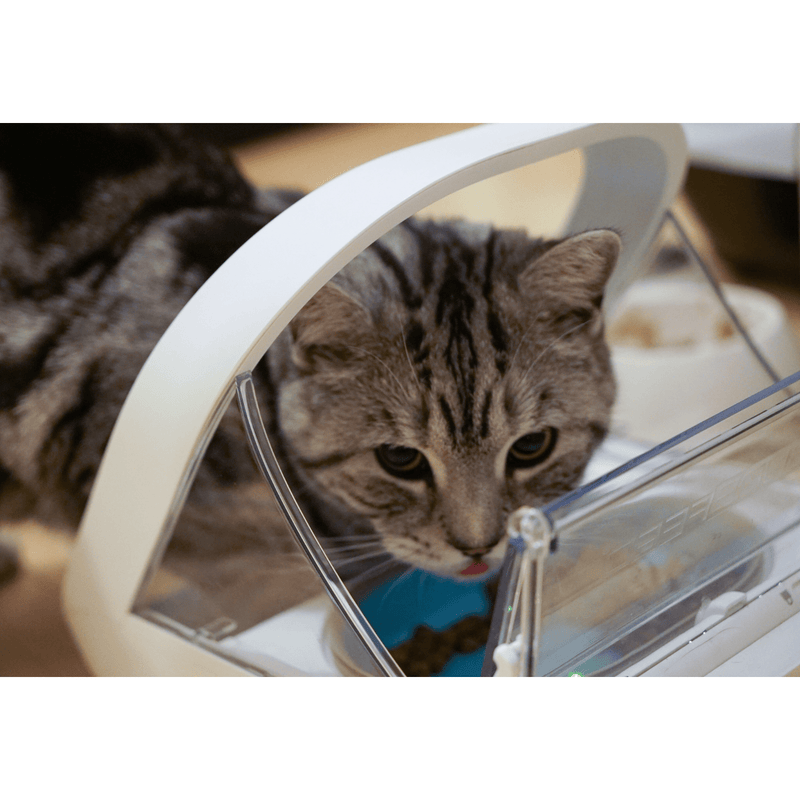 Surefeed Microchip Pet Feeder, Smart Feeding Bowl for Dogs & Cats